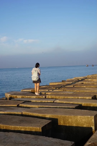 成员 | Taurus战队